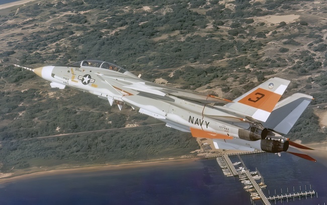 08 BN-Ac-Tamiya-F-14 Prototype BAM Models conversion from F-14A, 1.48 ...